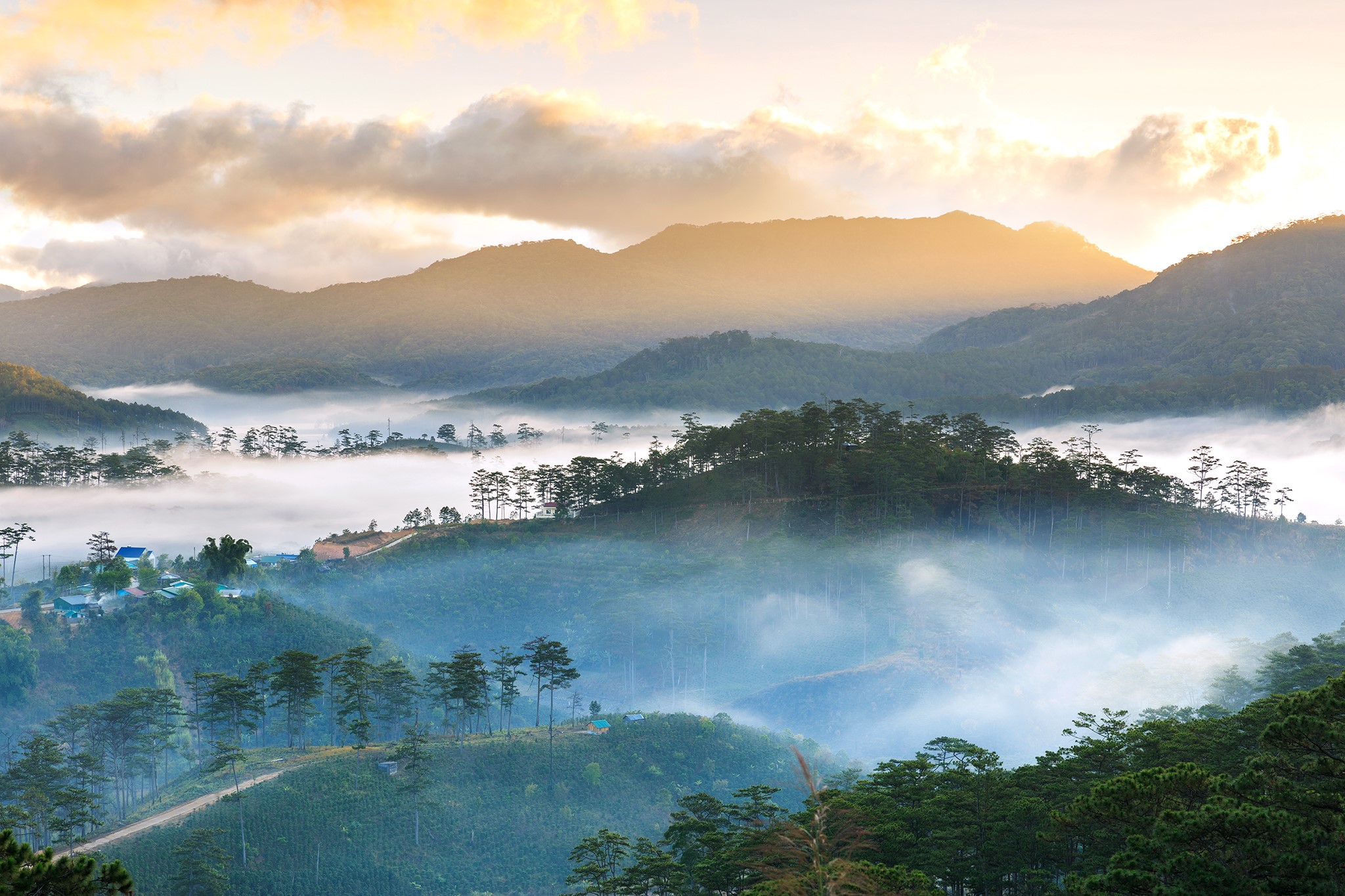 Bidoup Nuiba National Park Archives - Vietnam Bird Watching and ...